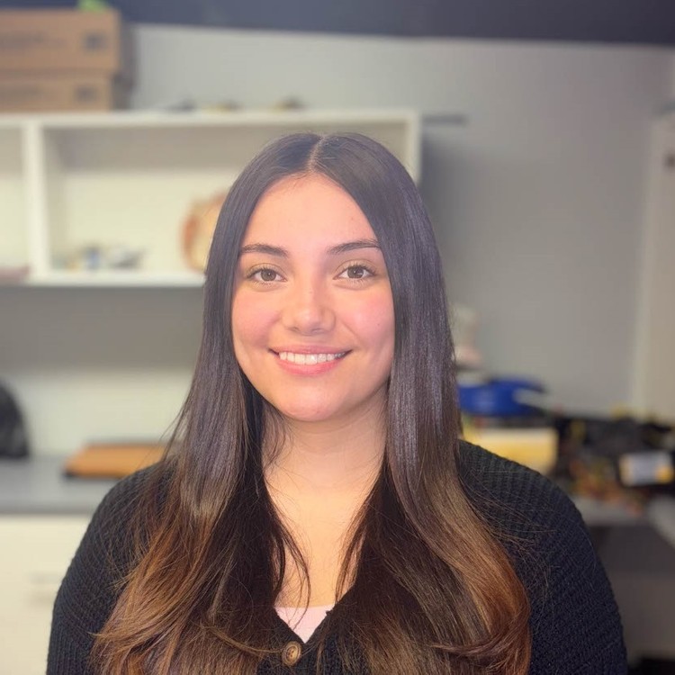 About Us | Wall Coating Solutions